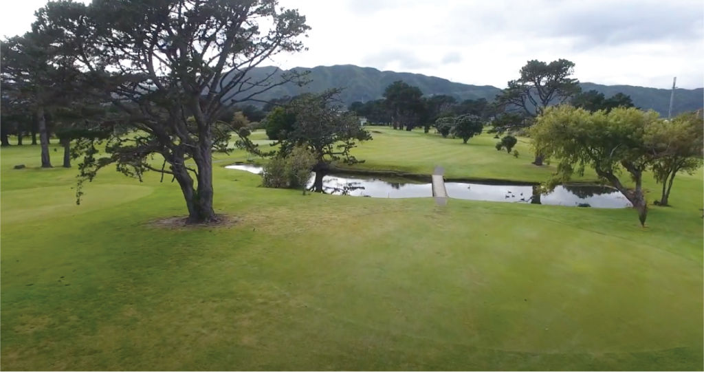 Courses – Shandon Golf Club